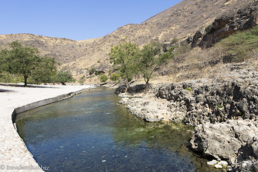 Ayn Razat | Quellgebiet zwischen Salalah und Taqah